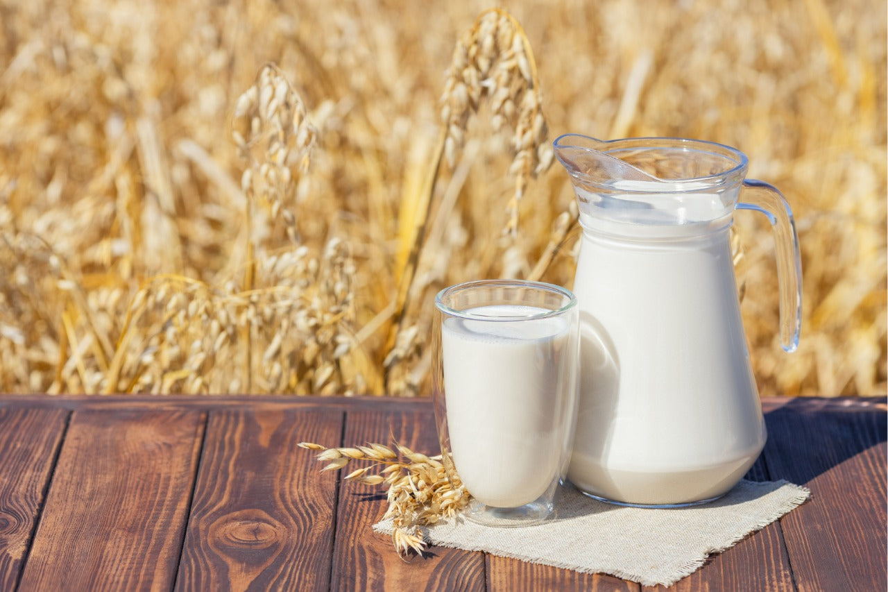 Kenapa Jangan Minum Oat Milk? - Nona Woman - Nona Woman